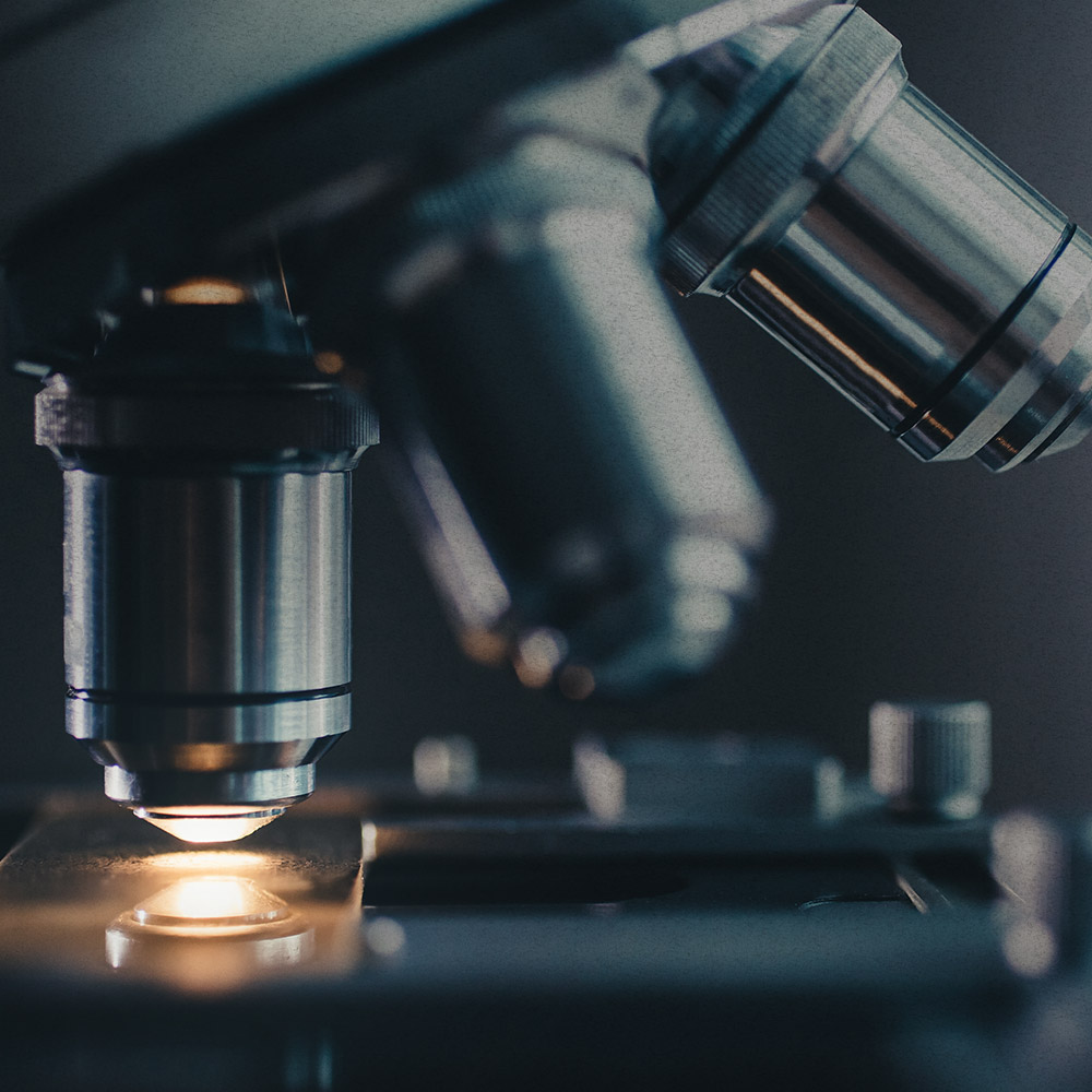 CURSO DE MICROSCOPIA - UNIFEV